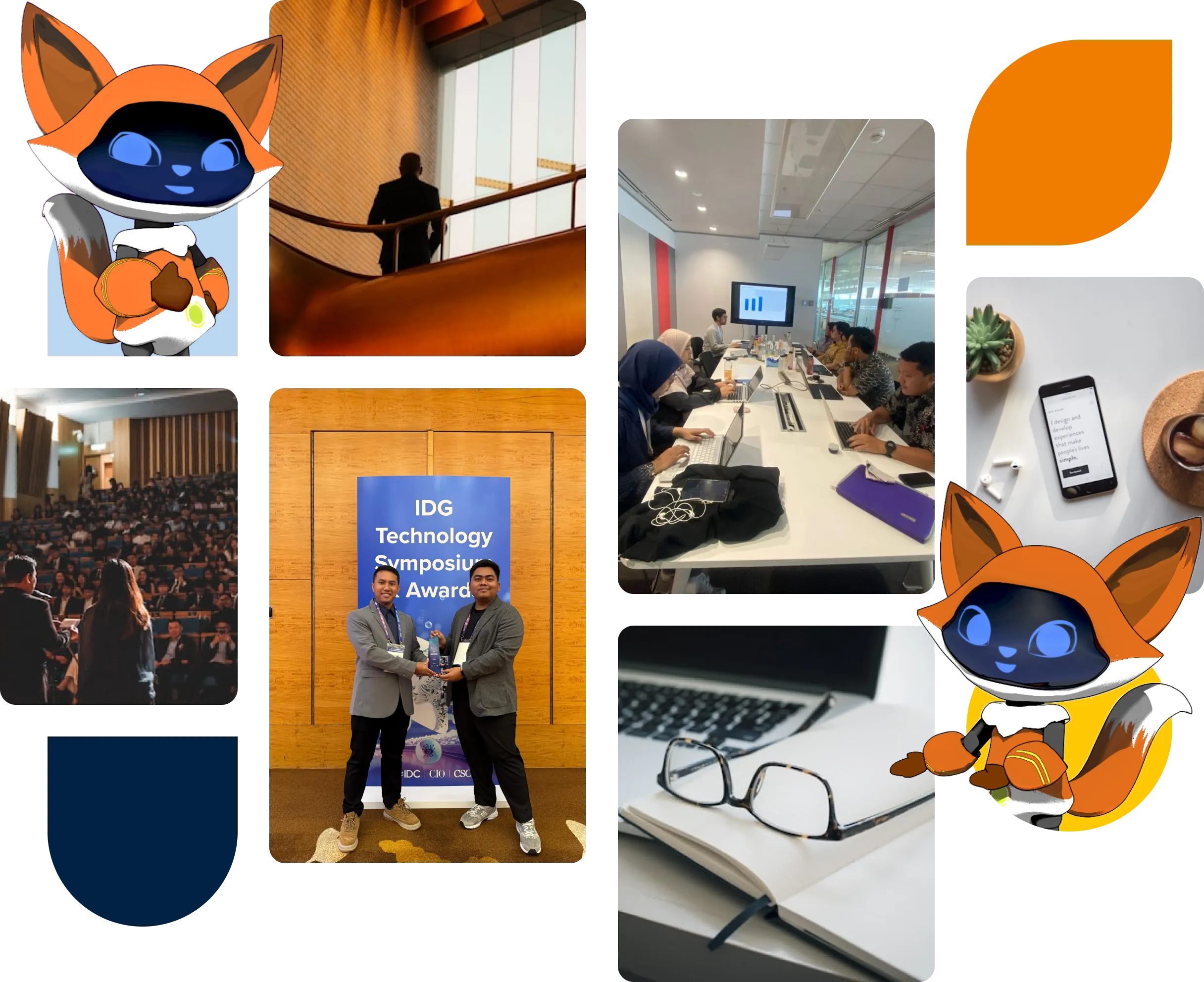 About – DAnS Multi Pro